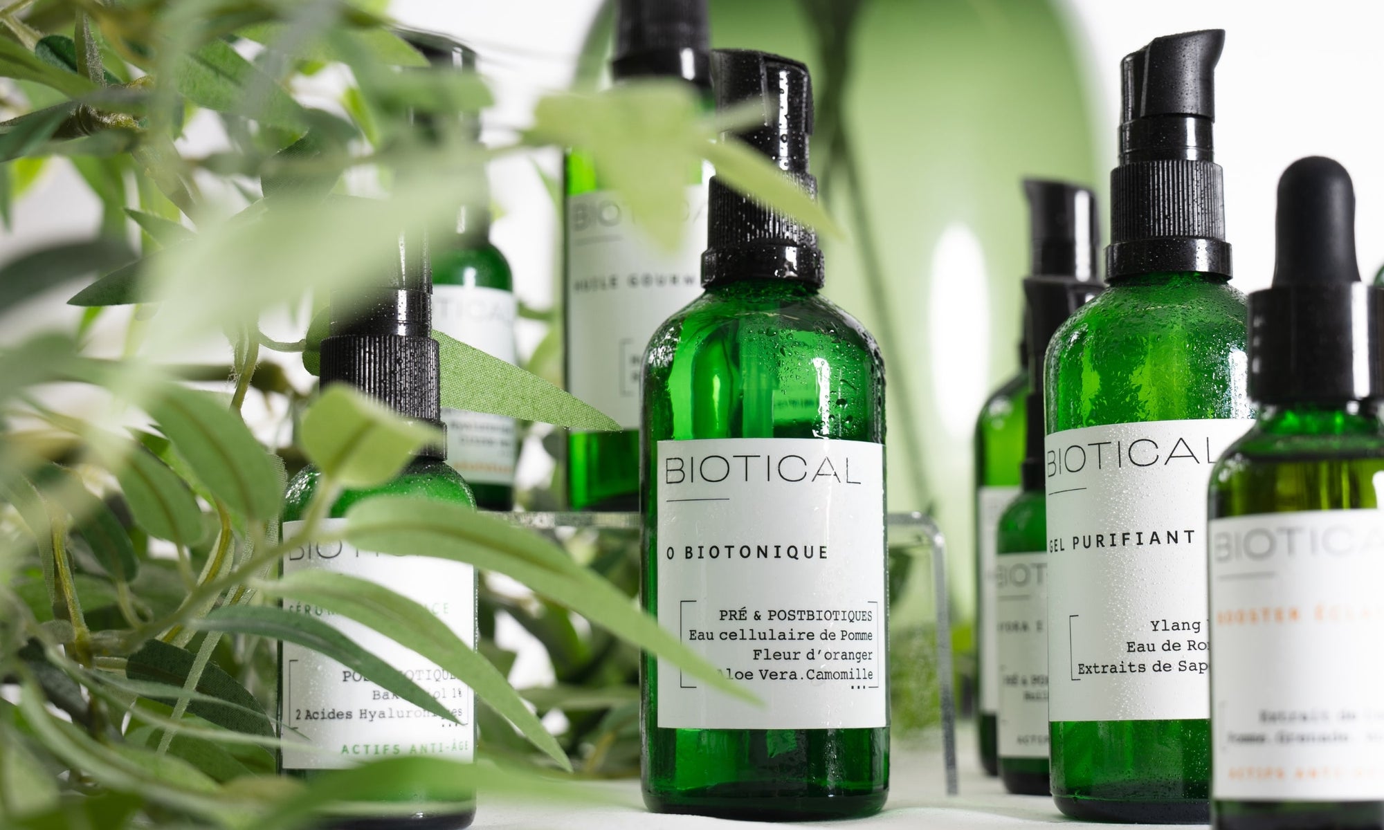 Biotical - L’équilibre naturel par les Probiotiques